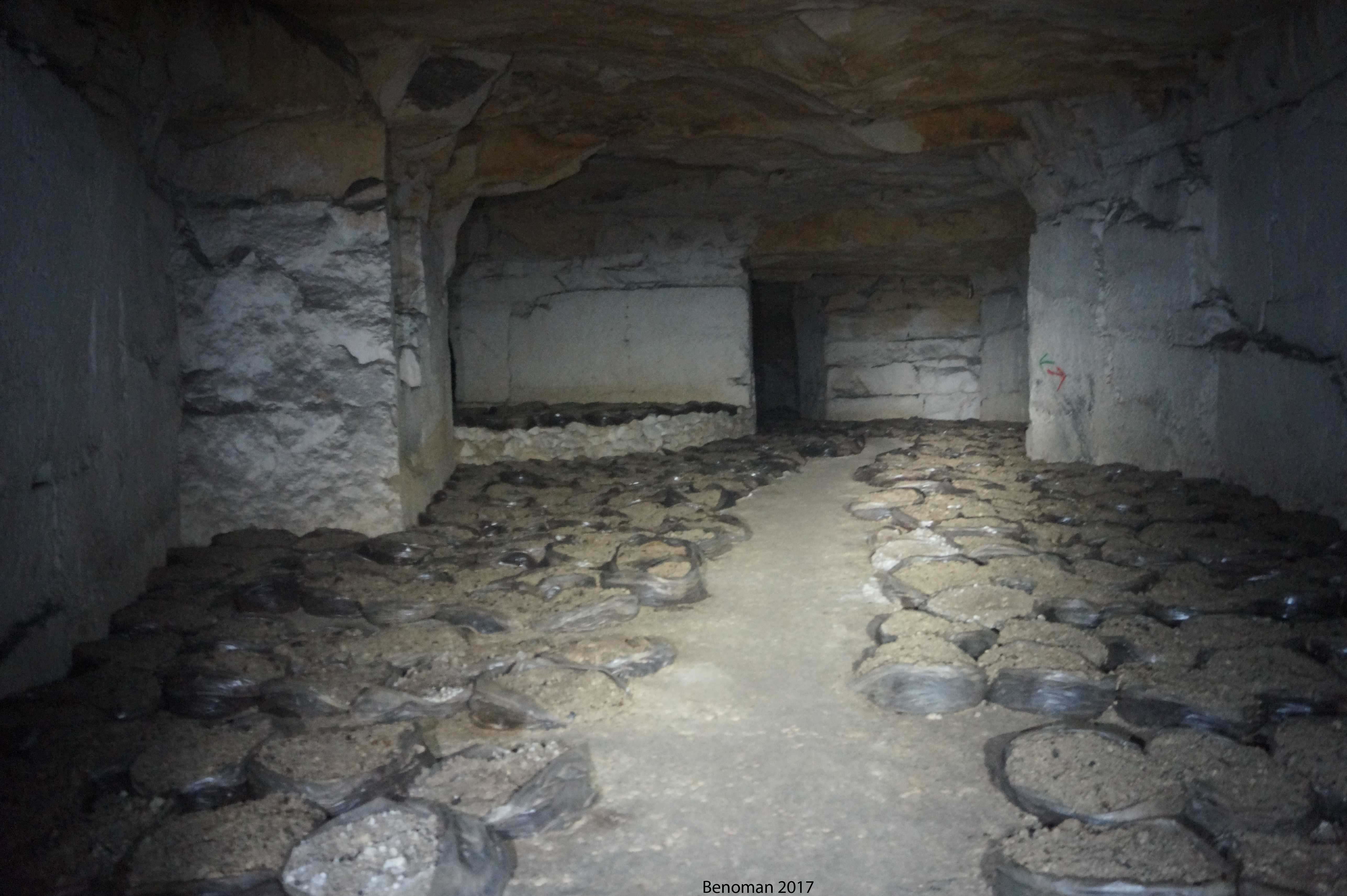 Carrière du bunker 51 | ExplosFriches